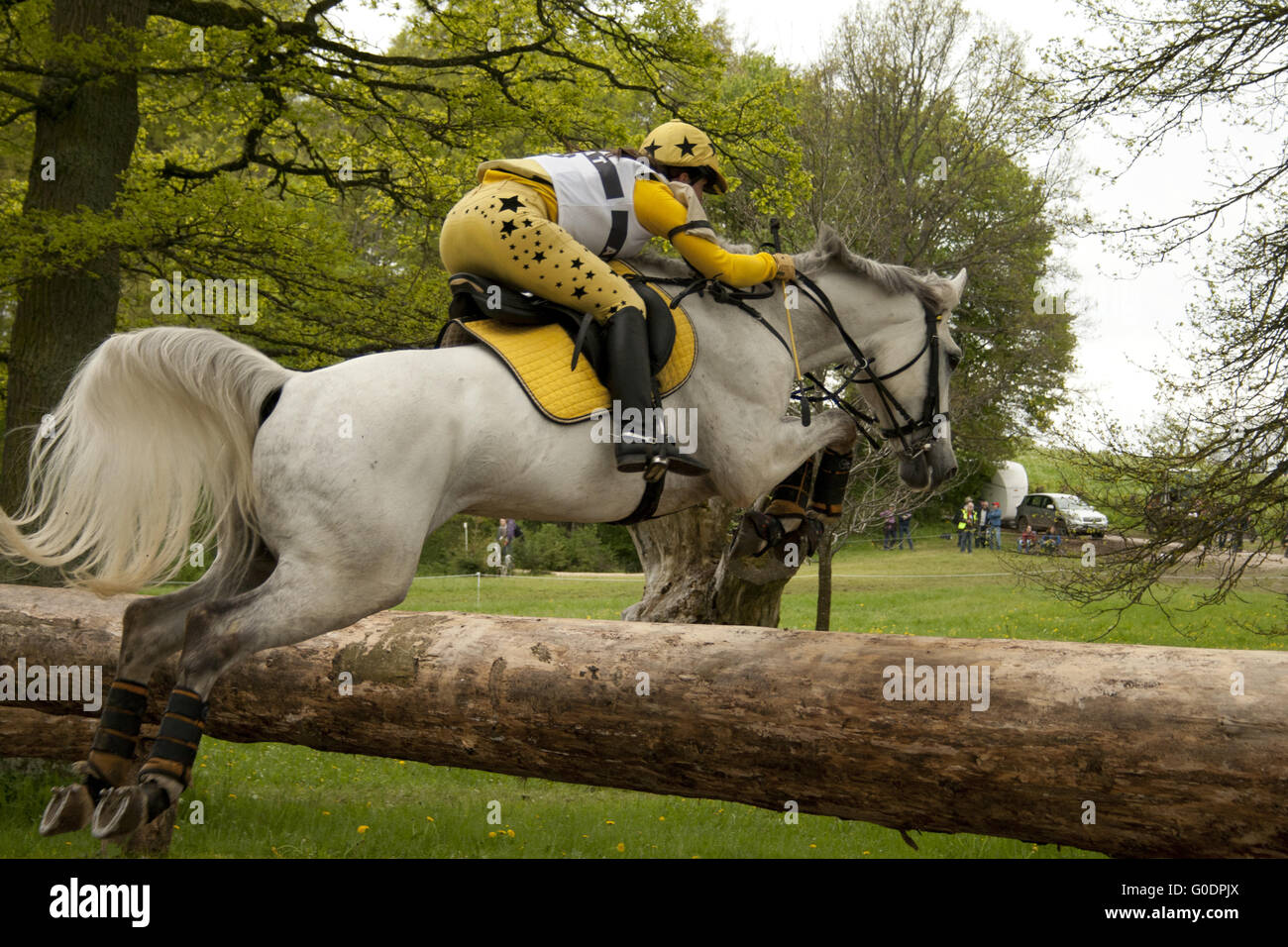 Galopping horse hi-res stock photography and images - Alamy