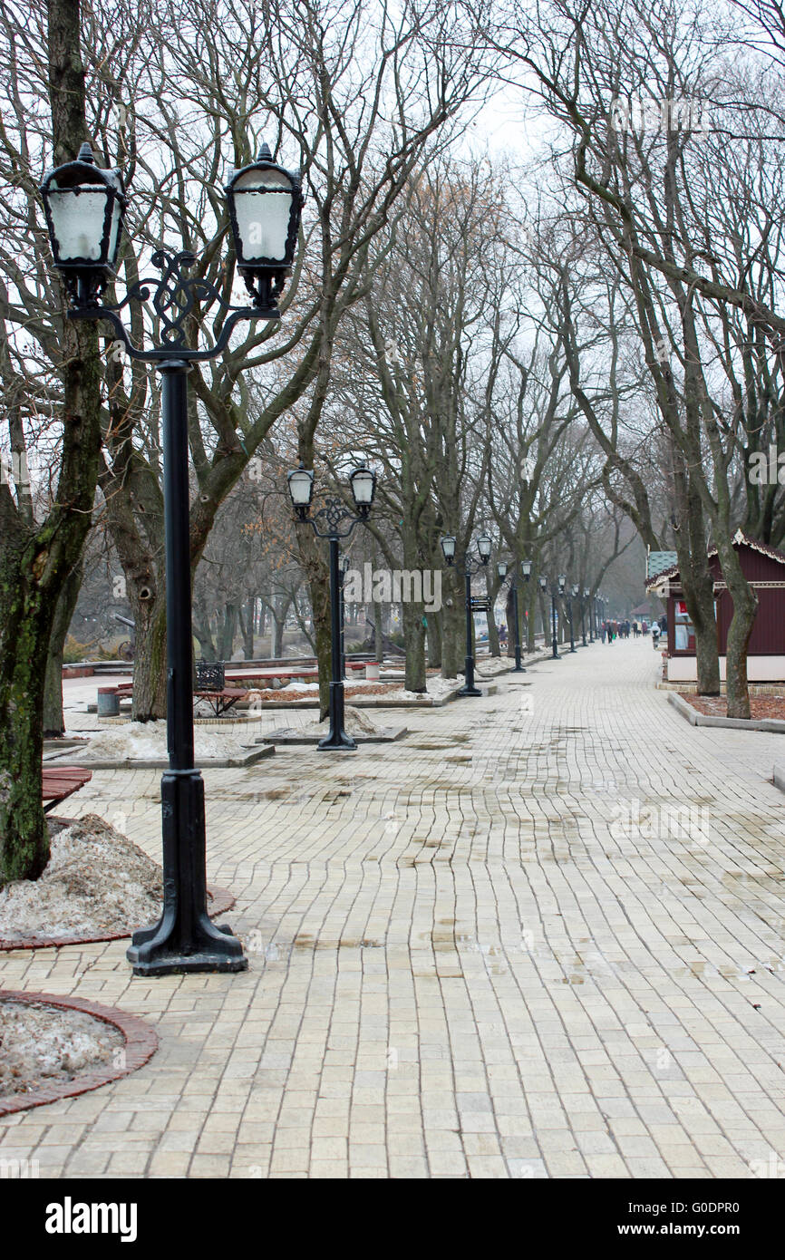 Sad park with trees and lanternd in February witho Stock Photo - Alamy