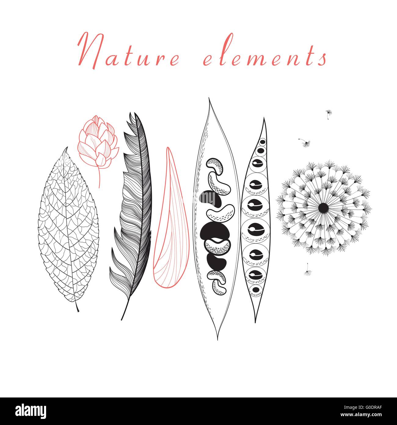 Natural set of different objects Stock Vector Image & Art - Alamy