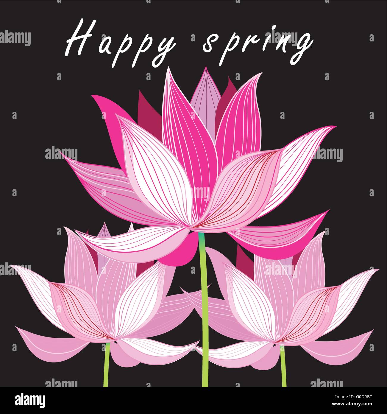 Graphic card with pink lotus Stock Vector Image & Art - Alamy
