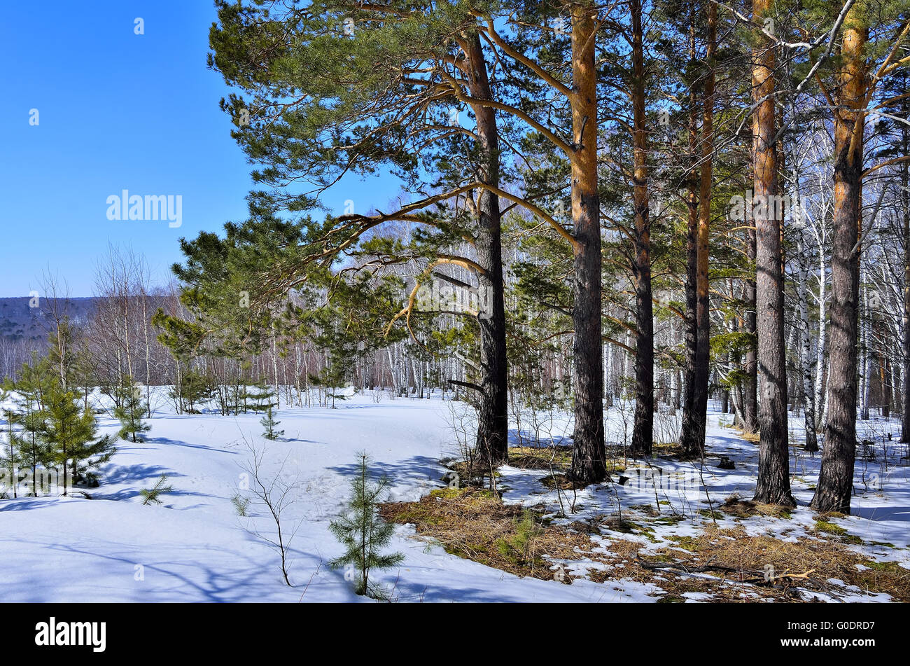 Sunny patches hi-res stock photography and images - Alamy