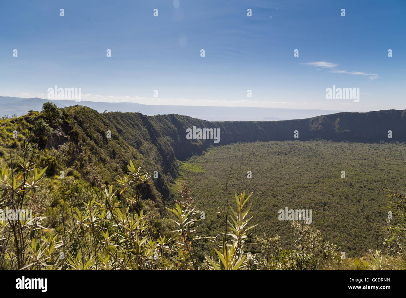 The Mount Longonot crater. Isolated ecosystem in Keyna Stock Photo - Alamy