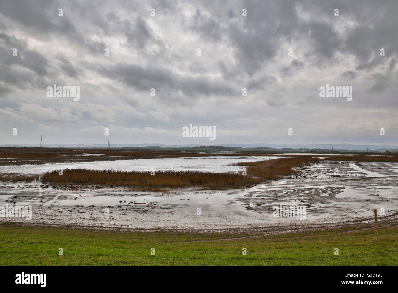 Steart Marshes; WWT Reseve; Somerset; UK Stock Photo - Alamy