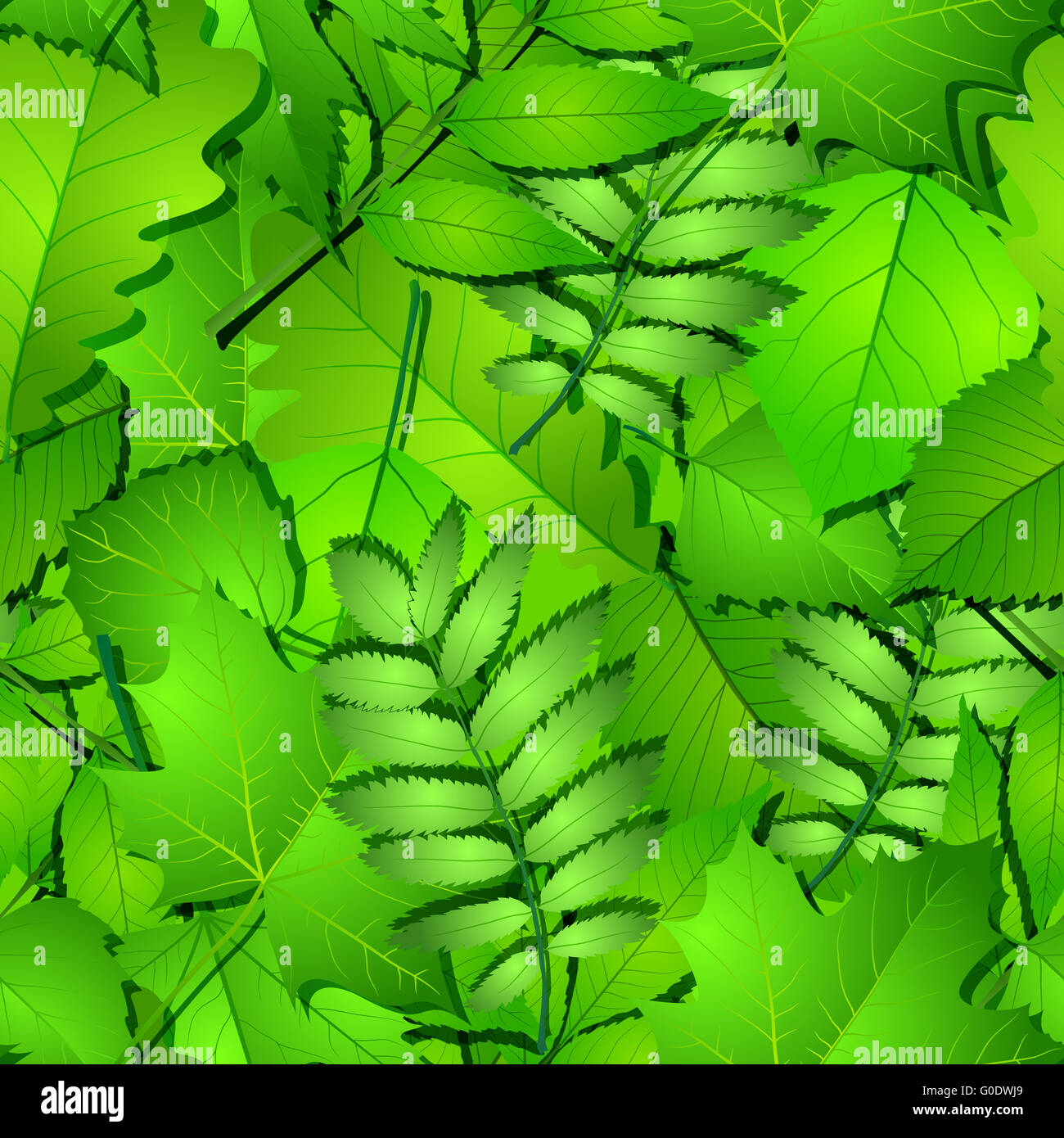 Seamless with green spring leaves Stock Photo - Alamy