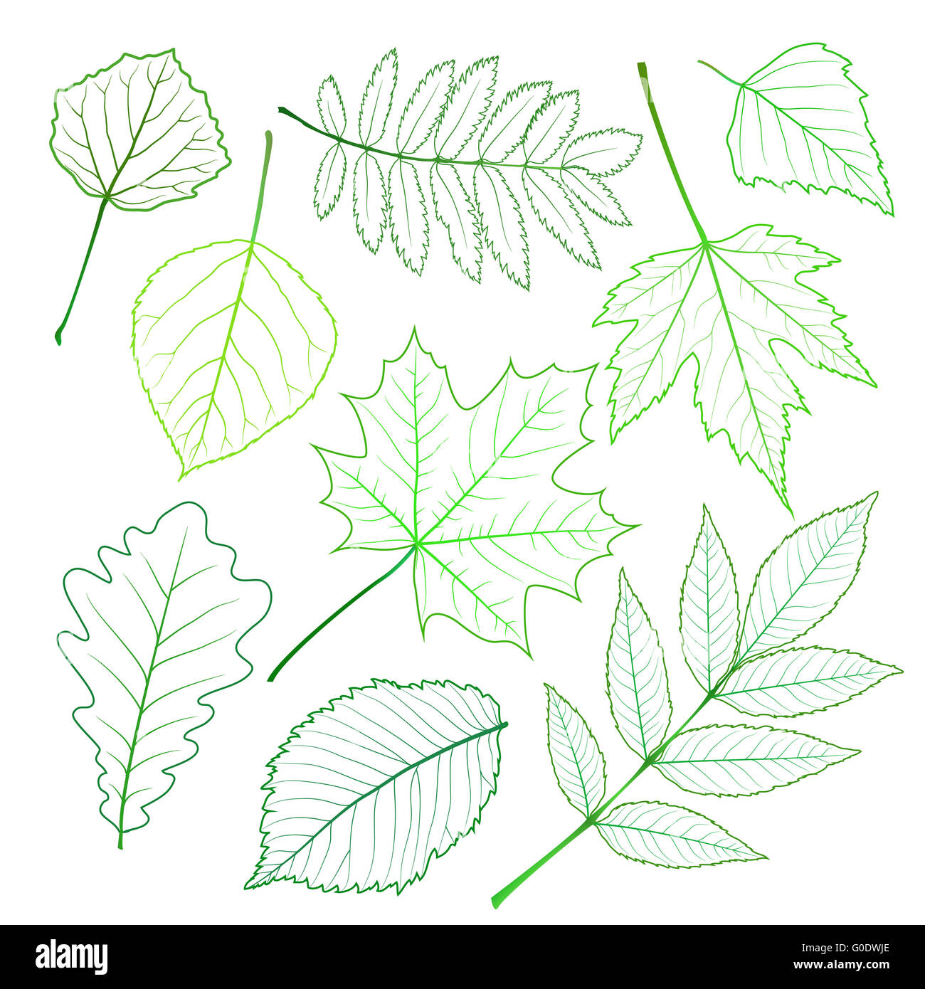 Decorative frame clover leaves Cut Out Stock Images & Pictures - Alamy