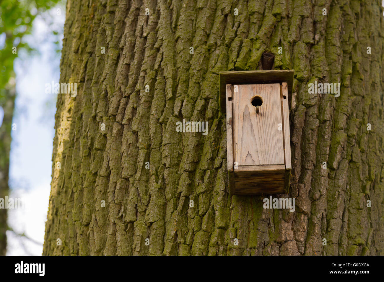 Box tr hi-res stock photography and images - Alamy