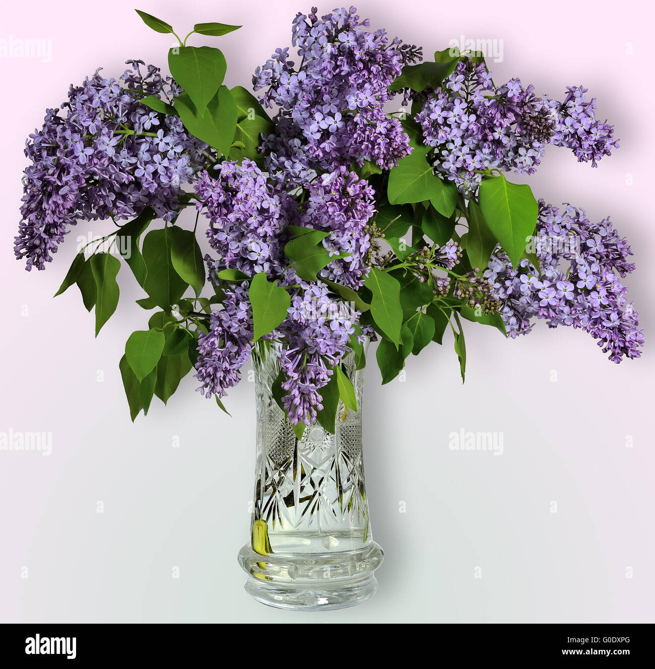 Lilac flowers bouquet Stock Photo - Alamy