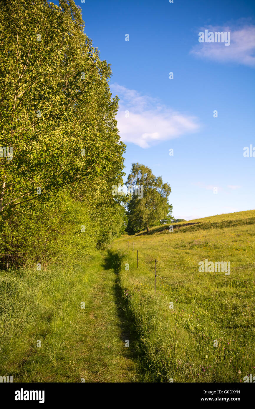 Lane Meadow High Resolution Stock Photography and Images - Alamy