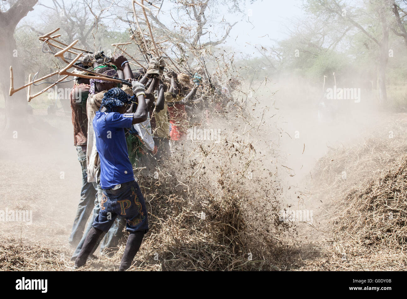 Peanut picker hi-res stock photography and images - Alamy