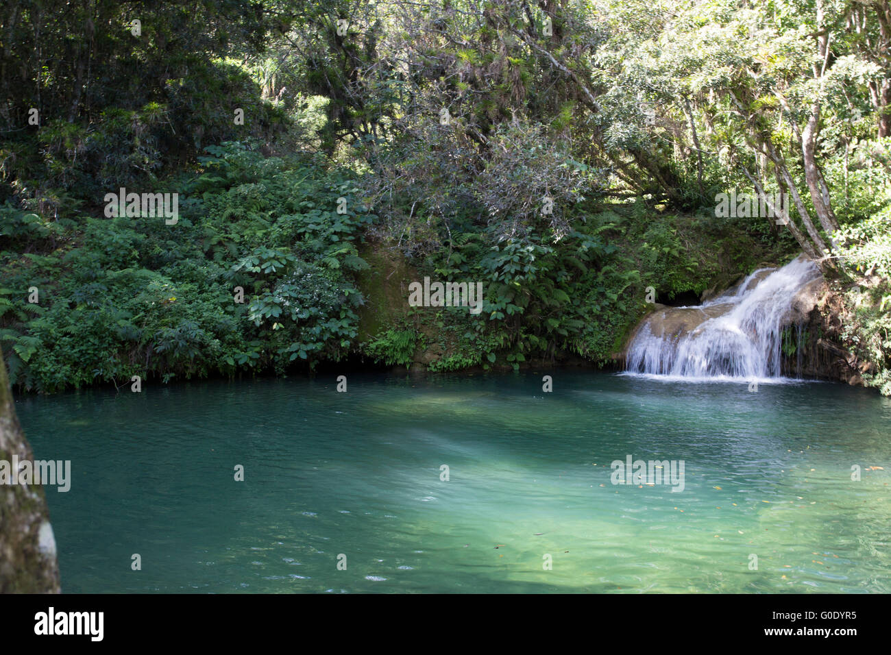Waterfall with pool on the island of Cuba Stock Photo - Alamy