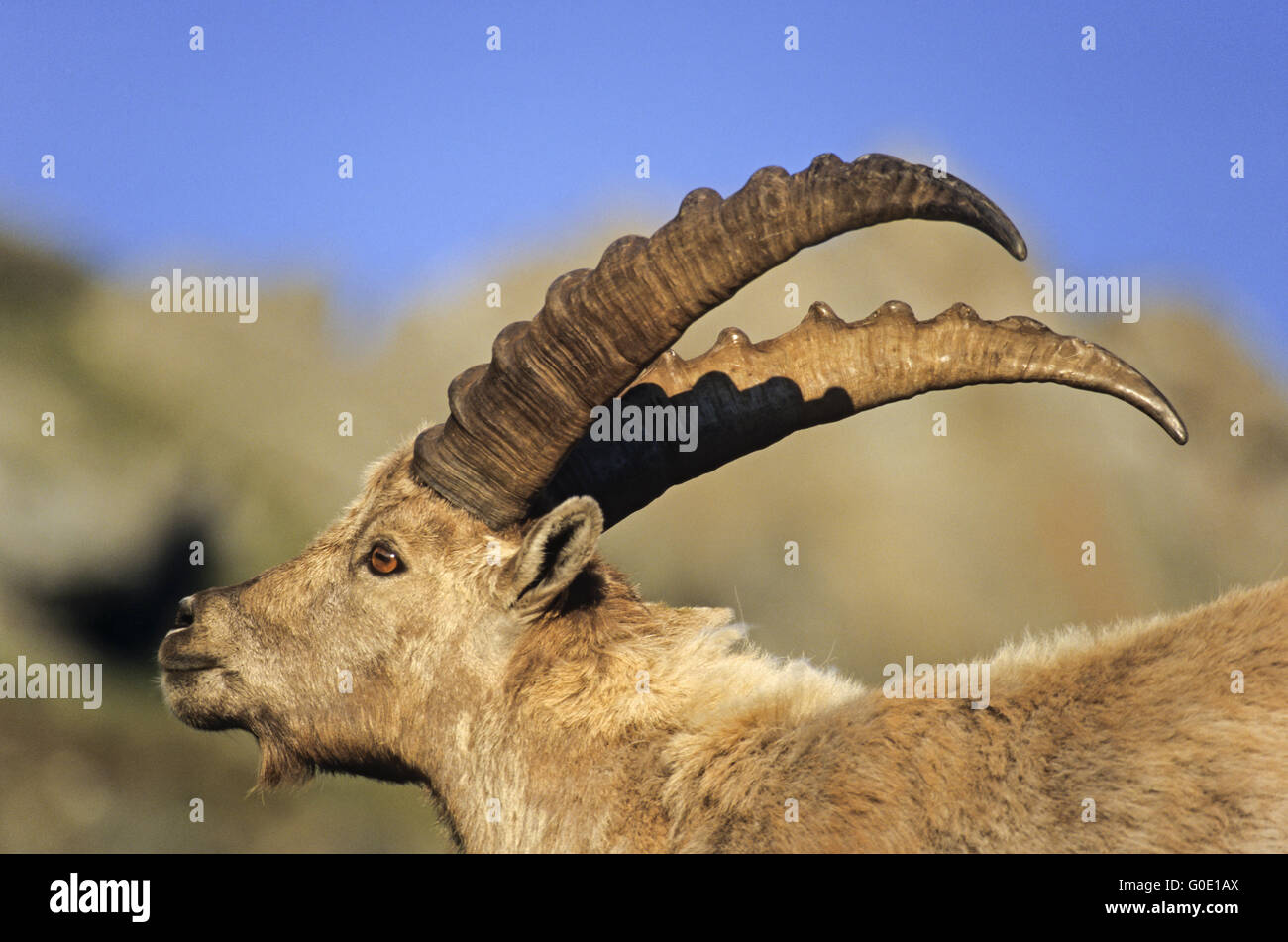 Nationalpark hohe tauern sign hi-res stock photography and images - Alamy