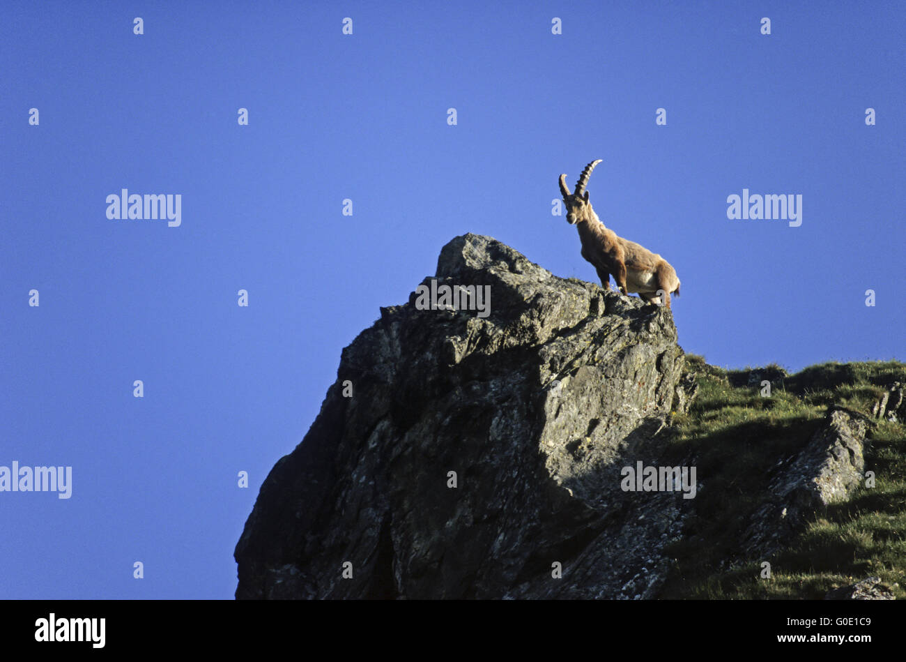 Buck peak hi-res stock photography and images - Alamy