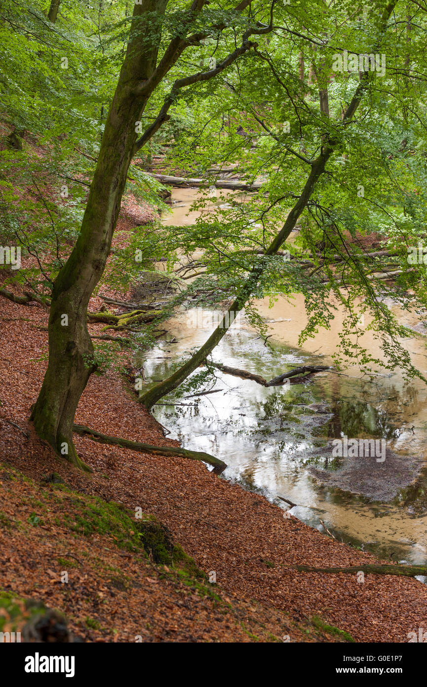 Senne valley hi-res stock photography and images - Alamy