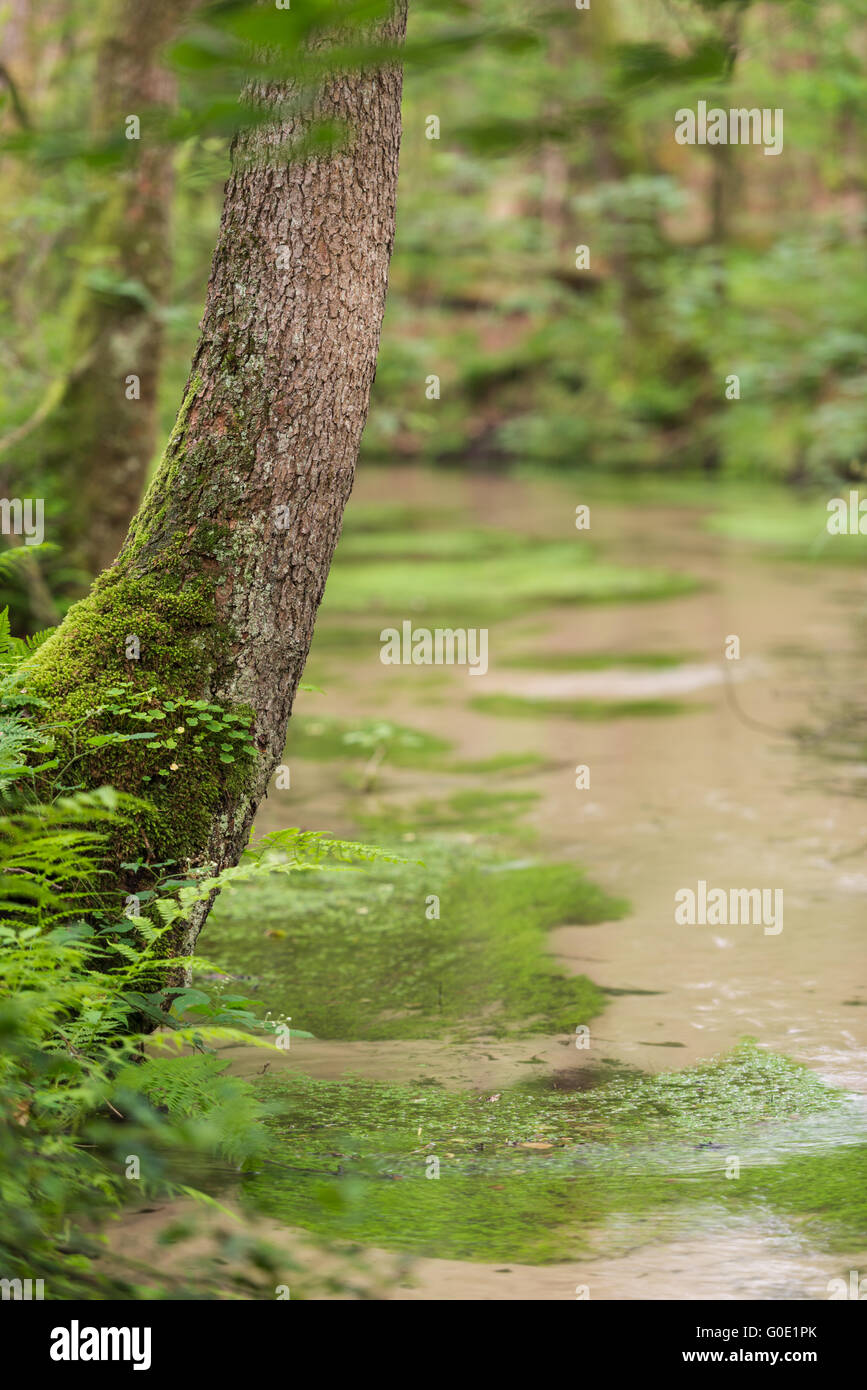 Senne valley hi-res stock photography and images - Alamy