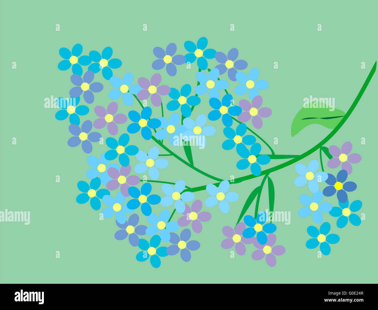 Forget-me-not wildflowers branch flowers Stock Photo - Alamy