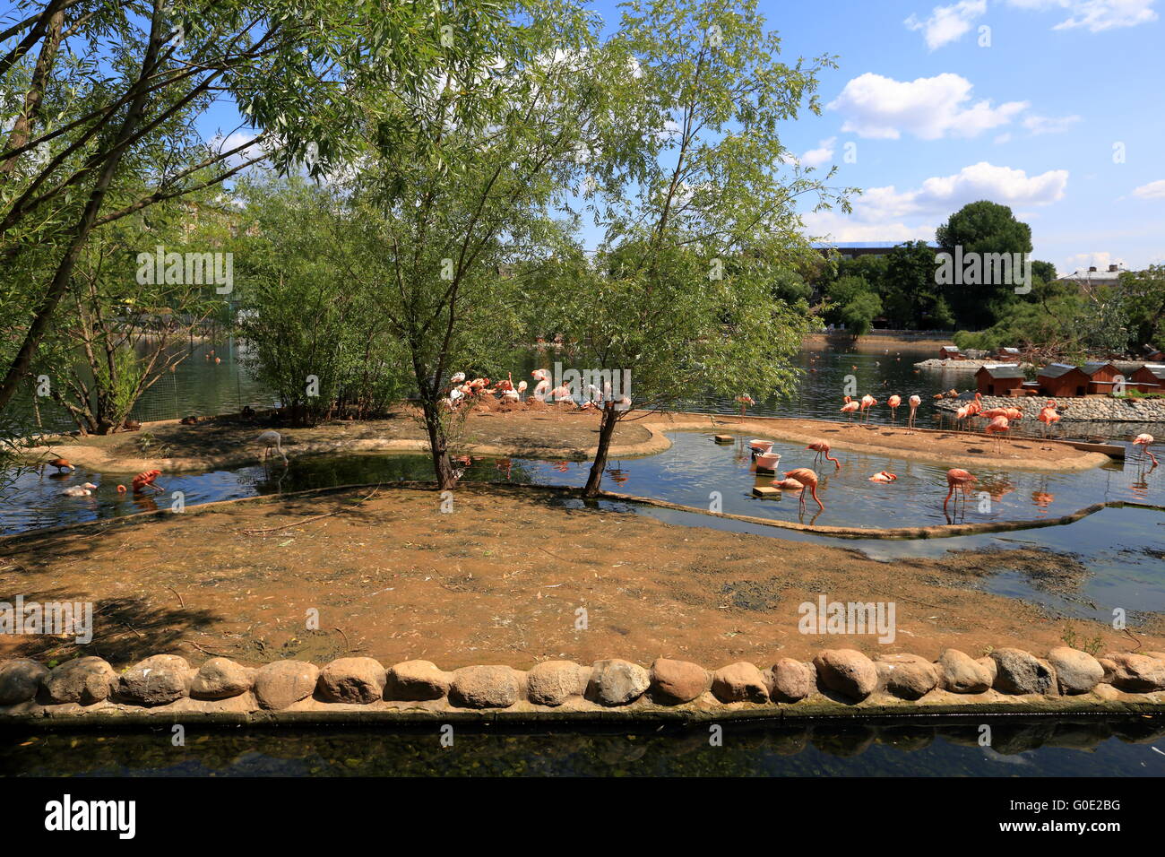 'moscow zoo hi-res stock photography and images - Alamy
