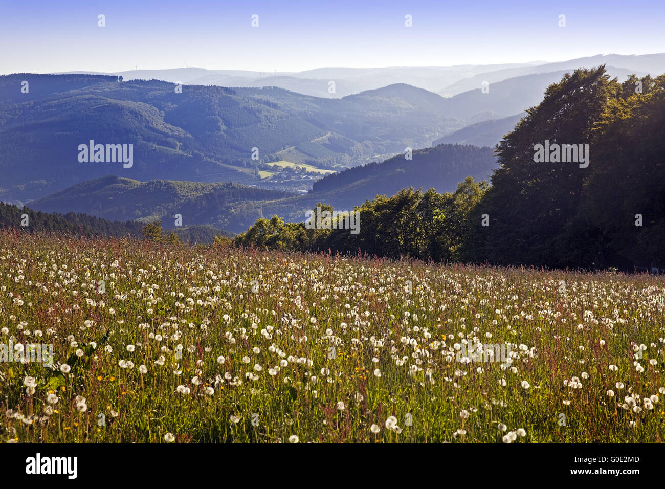 lookout point over the landscape near wildewiese Stock Photo - Alamy