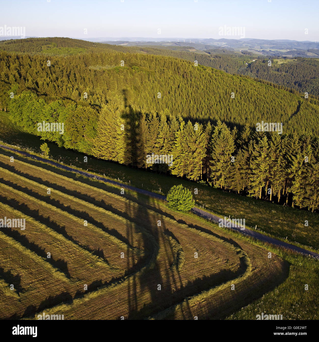 landscape with the shadow of the Schomberg tower Stock Photo - Alamy
