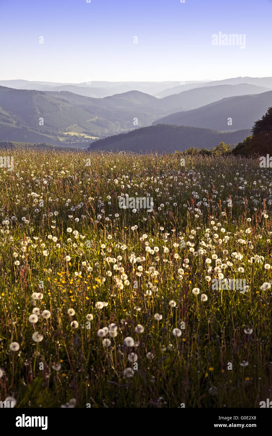 lookout point over the landscape near wildewiese Stock Photo - Alamy