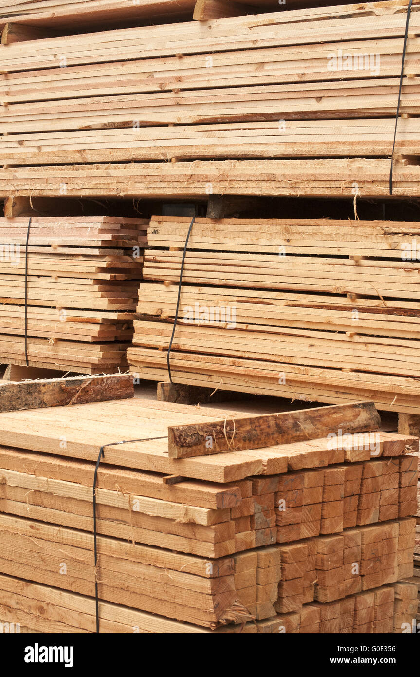 Pine limber limber Stock Photo - Alamy