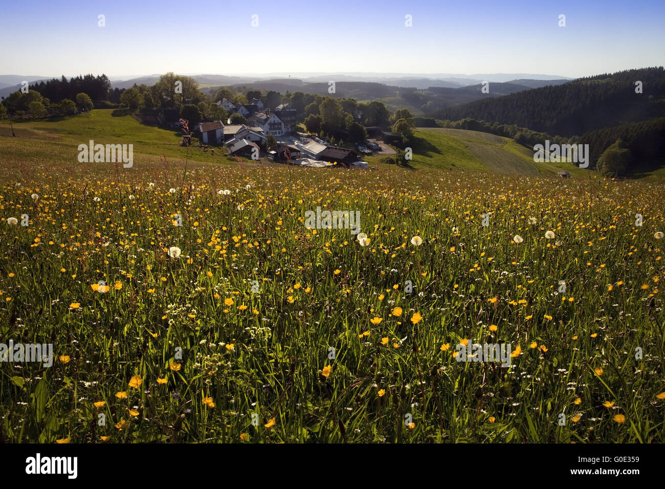 lookout point over the landscape near wildewiese Stock Photo - Alamy