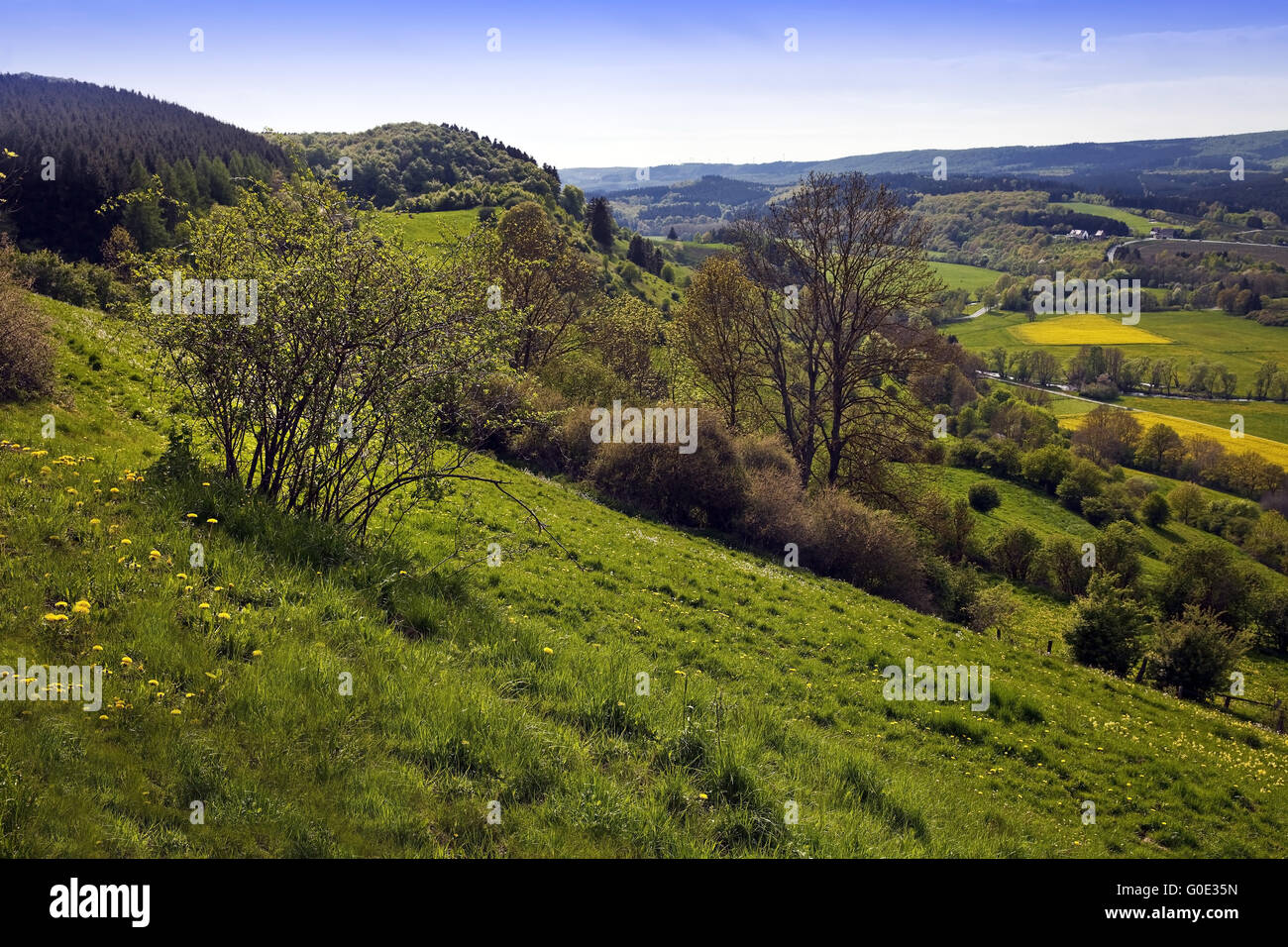 low mountain scenery near Marsberg in spring Stock Photo - Alamy