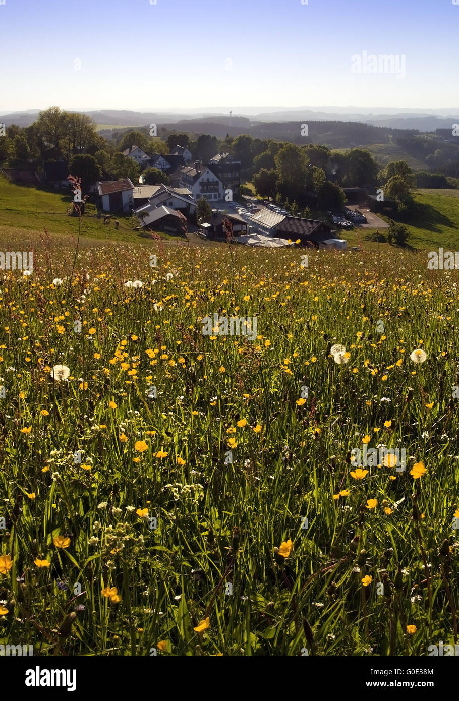 lookout point over the landscape near wildewiese Stock Photo - Alamy