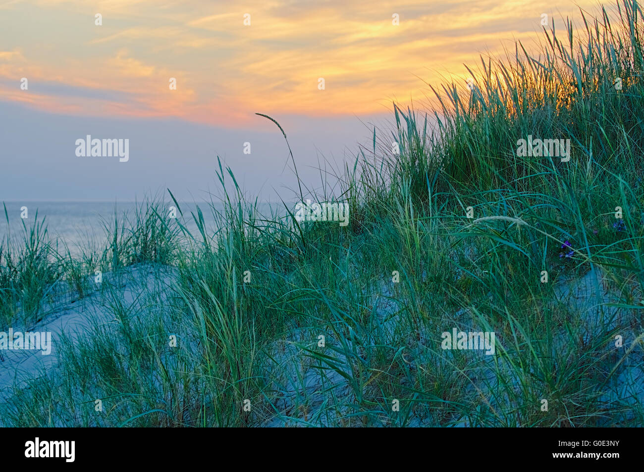 Evening at the north sea Stock Photo - Alamy
