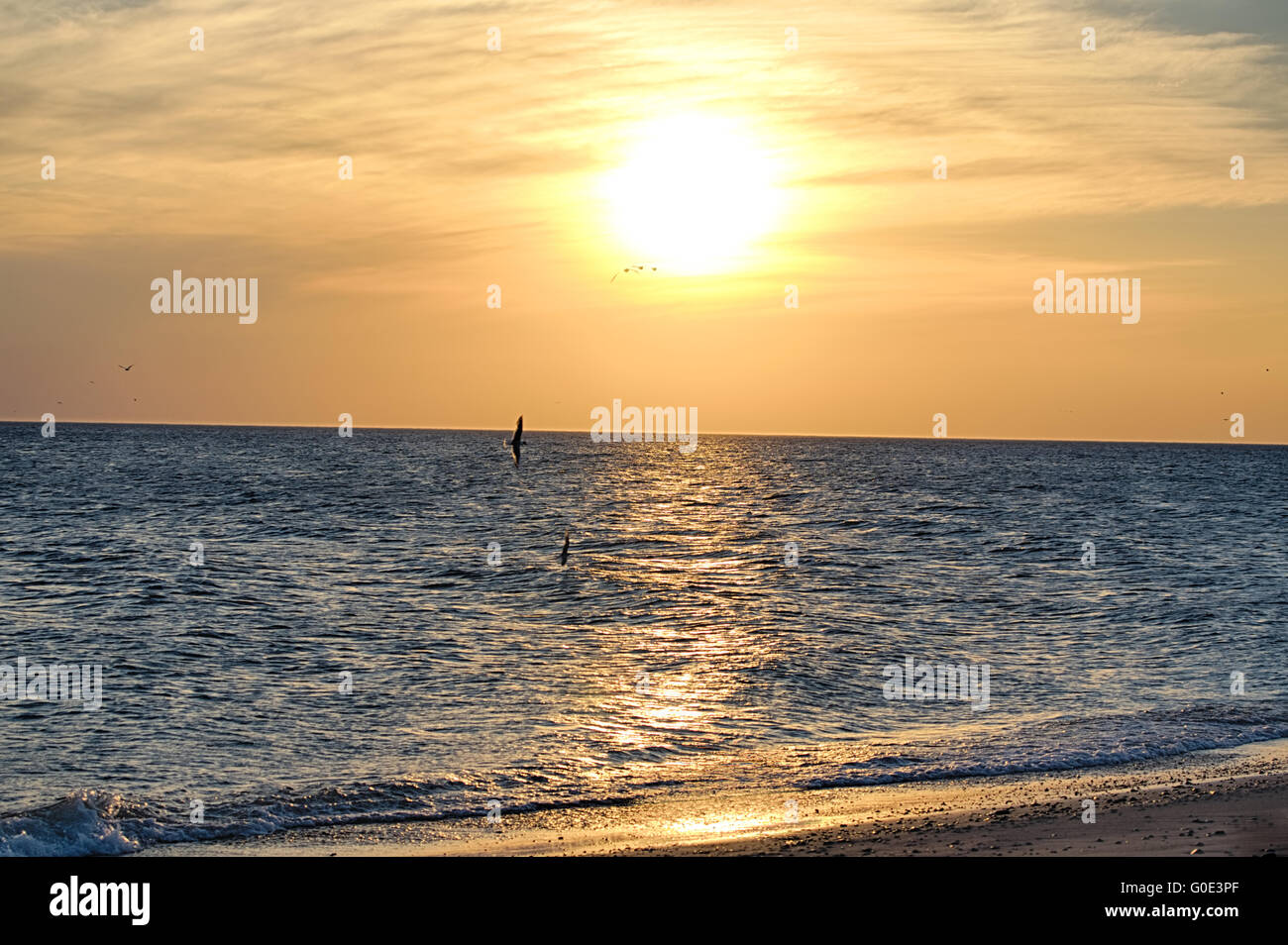 Evening at the north sea Stock Photo - Alamy