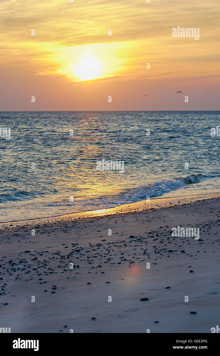Evening at the north sea Stock Photo - Alamy