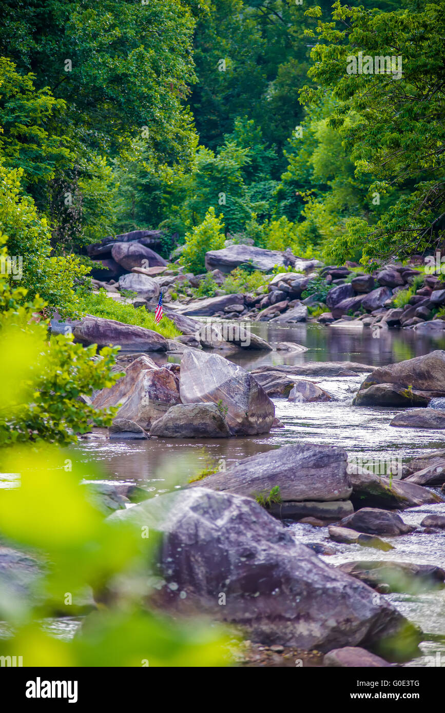 Wooded stream flowing through hi-res stock photography and images - Alamy