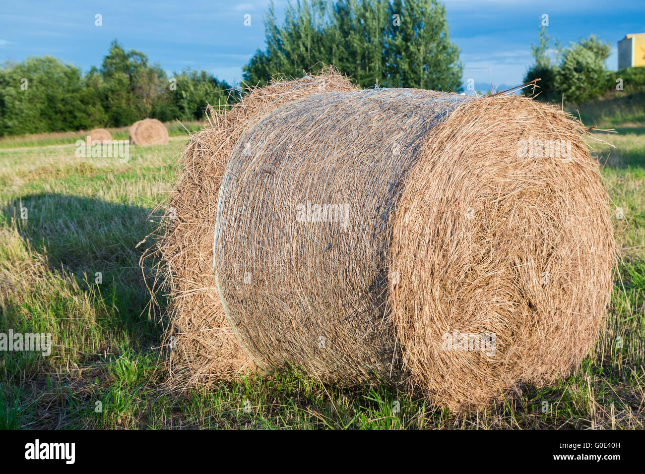haystacks in a field Stock Photo - Alamy