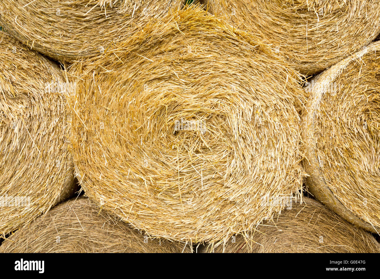 Blade of straw hi-res stock photography and images - Alamy