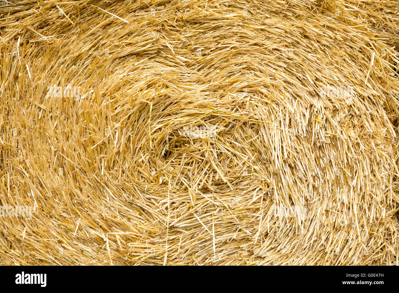 Straw structure in dry hi-res stock photography and images - Alamy