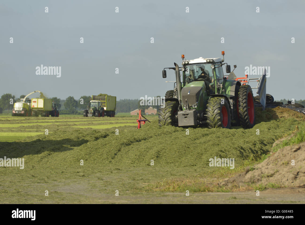 Agriculture, cut grass chopping and silage with tr Stock Photo - Alamy