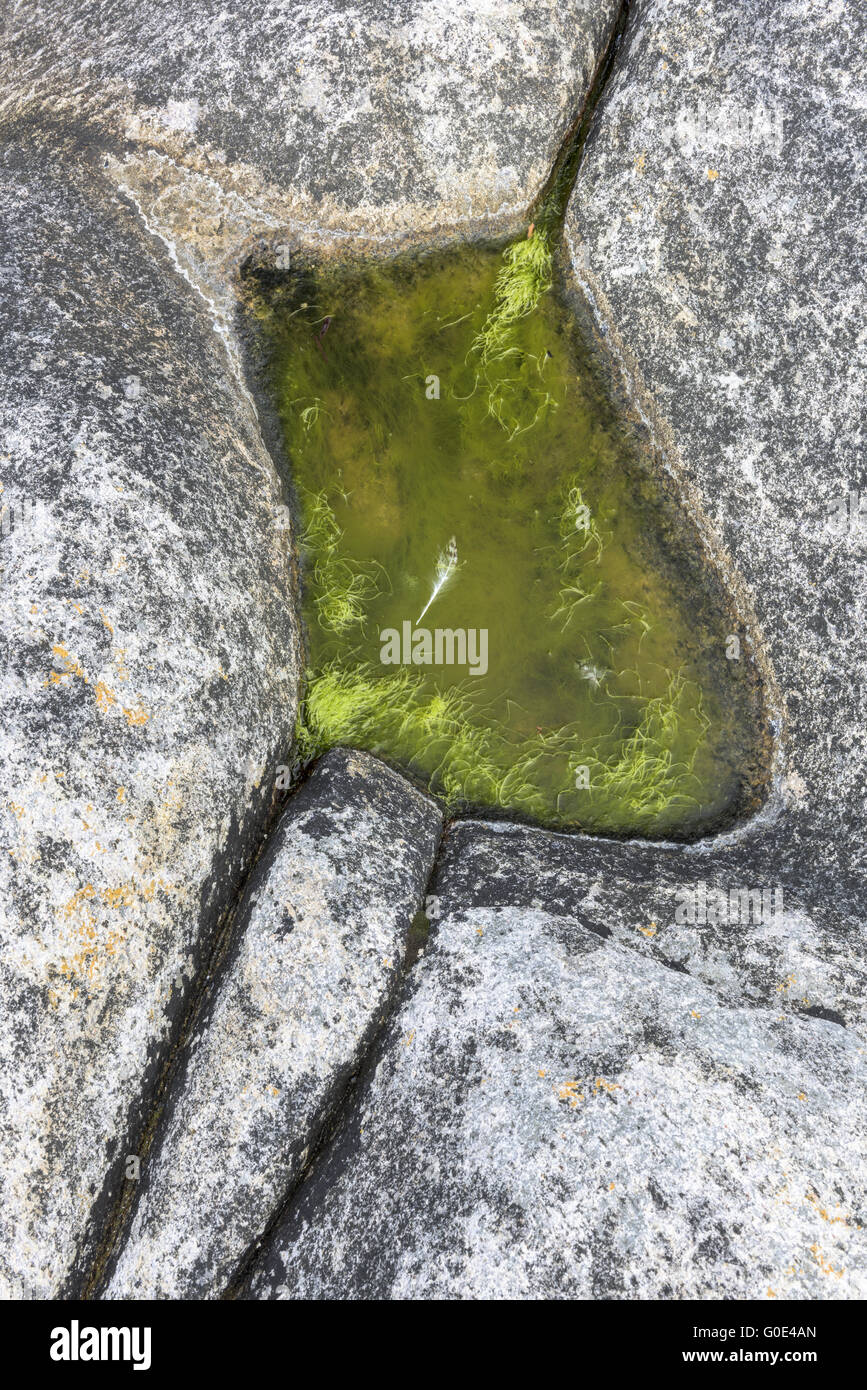 tidal pool, Senja, Norway Stock Photo - Alamy