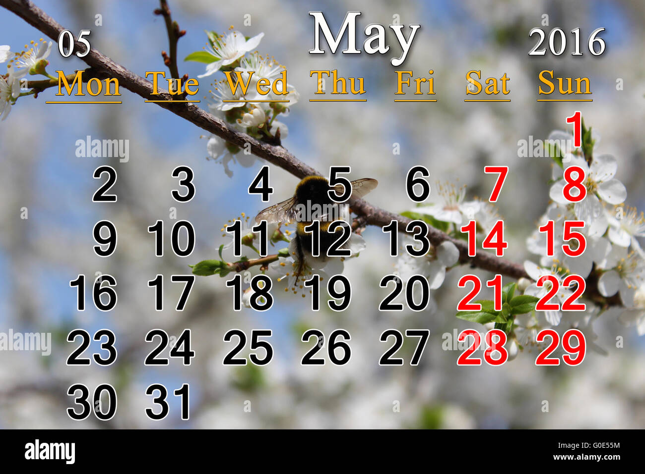 May Calendar 2016 October Desktop Wallpaper Design