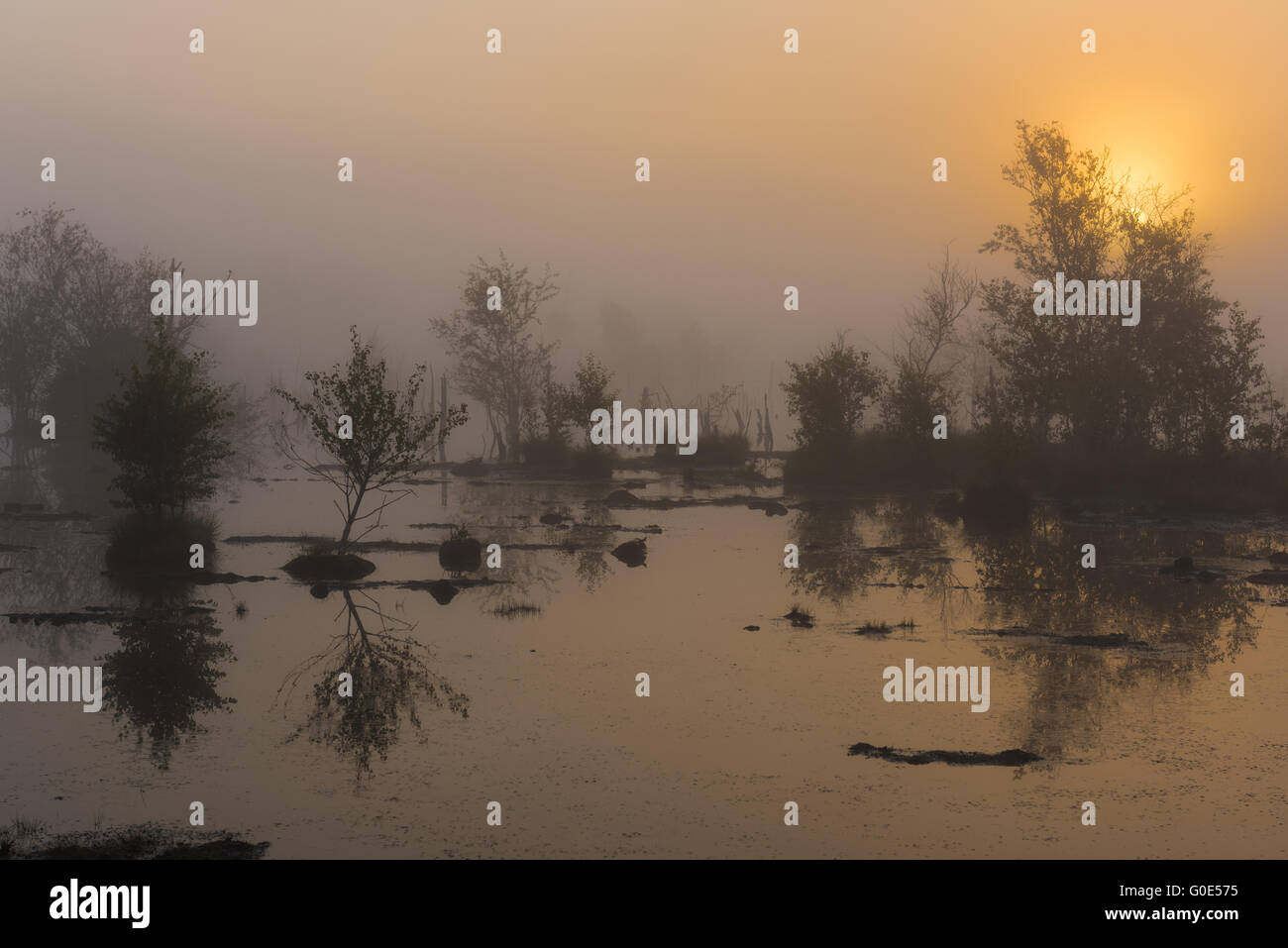 sunrise in a German marsh Stock Photo - Alamy