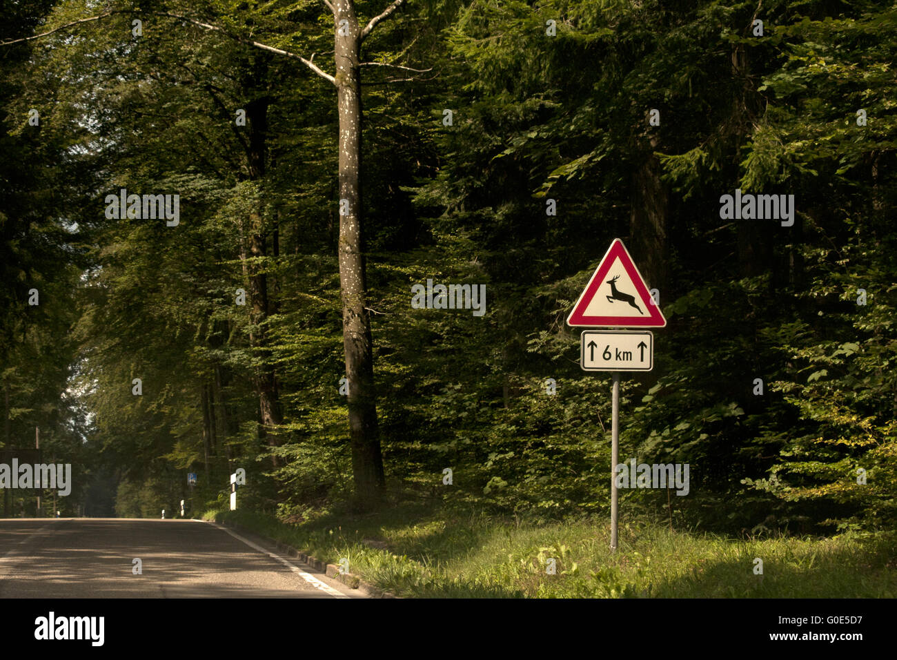 Animals crossing road Stock Photo - Alamy