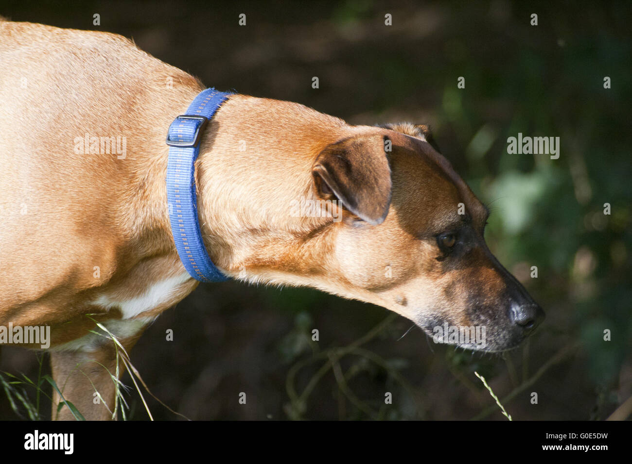 Sleeping security guard hi-res stock photography and images - Alamy