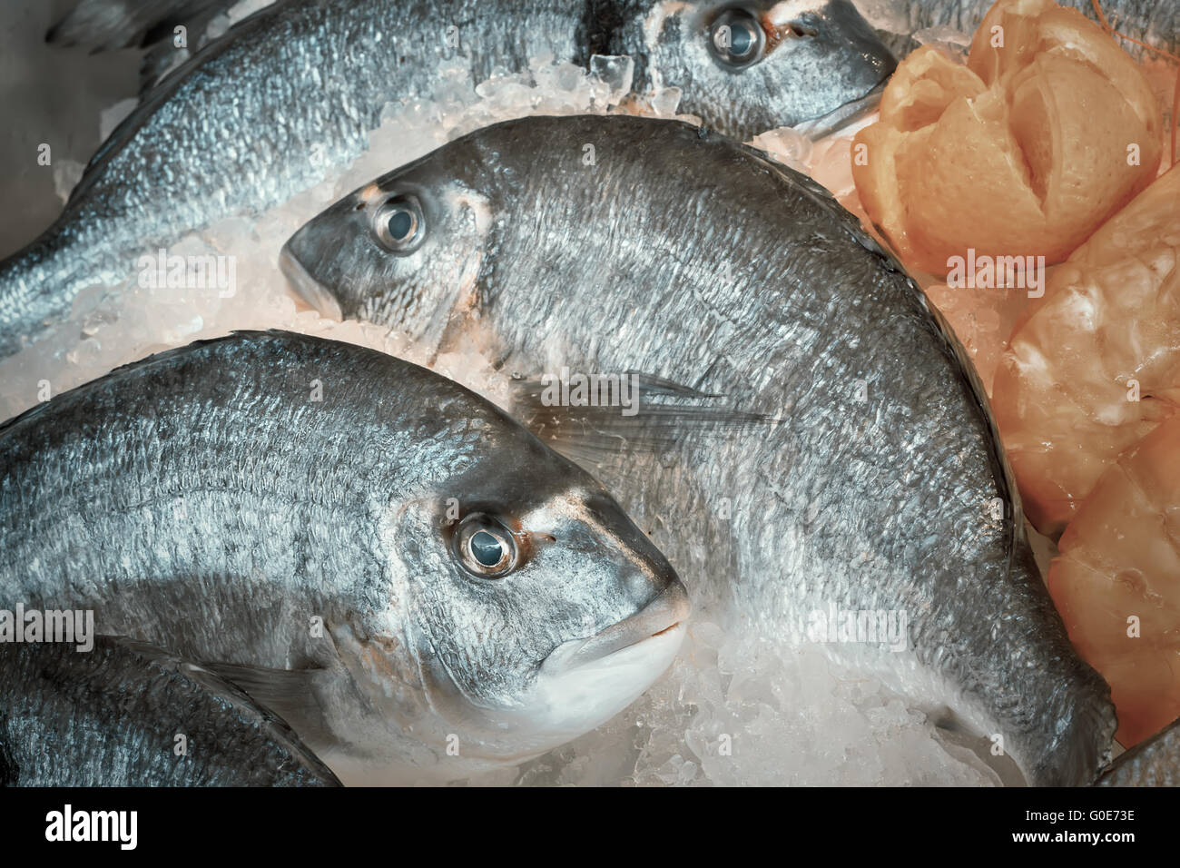 .Large Mediterranean fish caught on the island of Stock Photo - Alamy