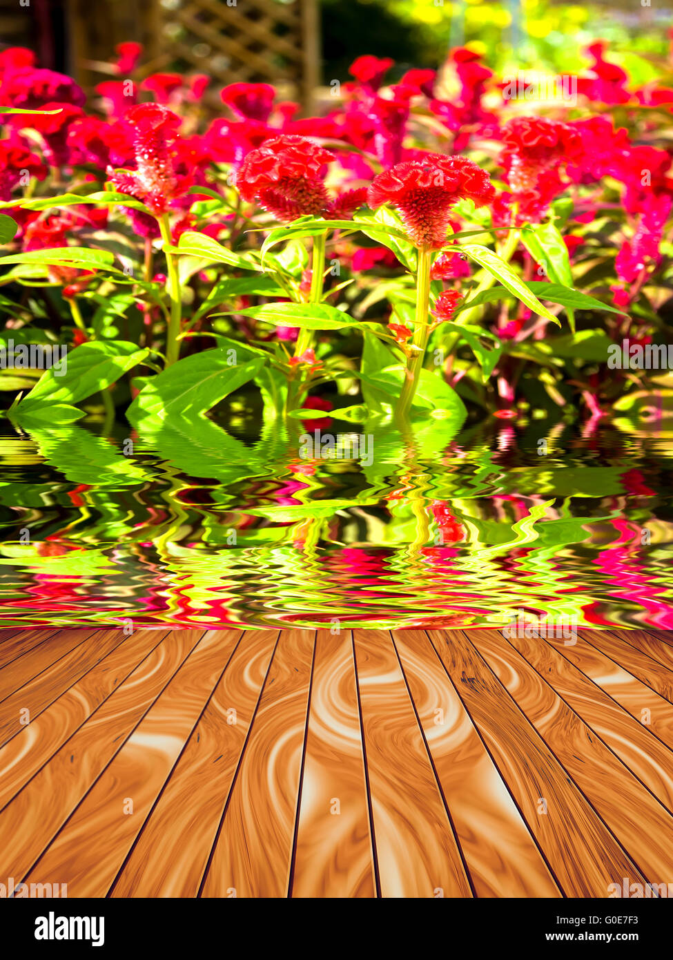 Abstract Wood Plank and Nature Background Stock Photo - Alamy