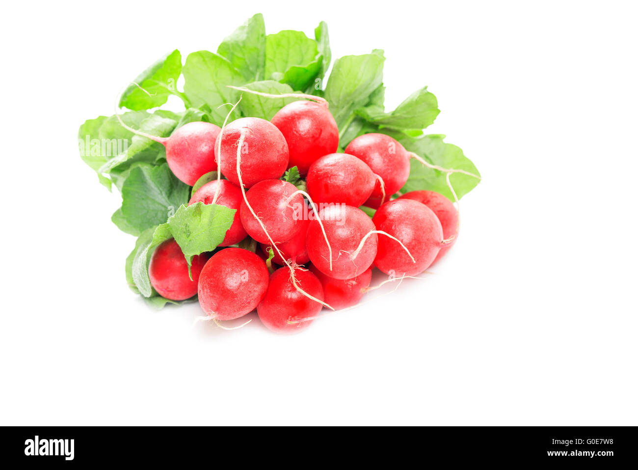 Organic farm radish in Cut Out Stock Images & Pictures - Alamy