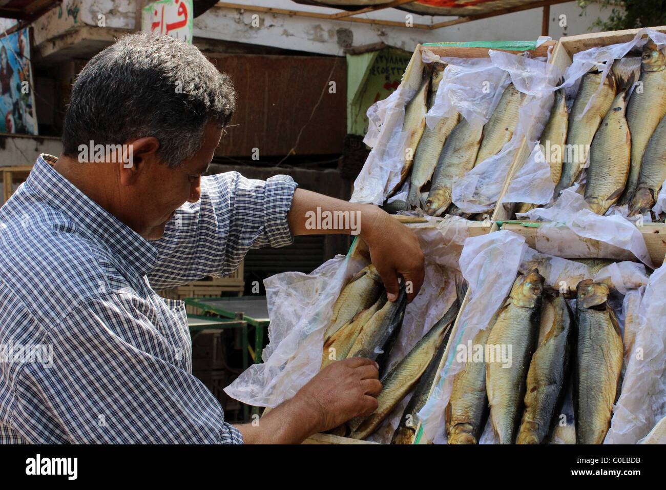 Cairo, Egypt. 6th May, 2013. Egyptians buy the Herring or, salted fish ...