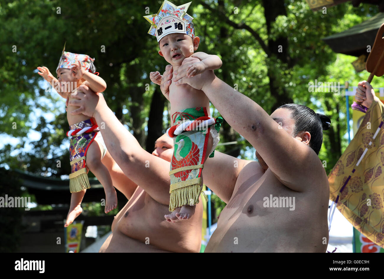 Sumo baby hi-res stock photography and images - Alamy
