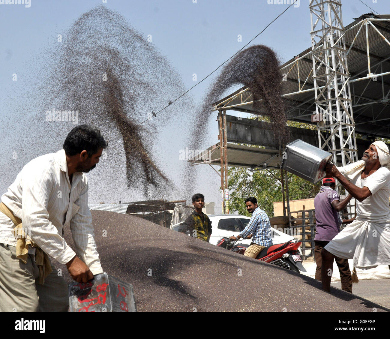 Bikaner, India. 30th Apr, 2016. Laborers are working on the eve of ...