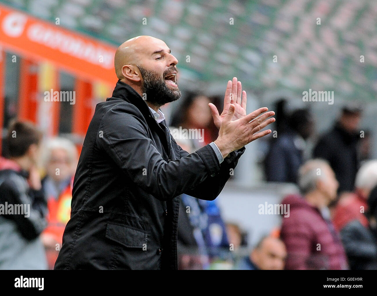 Milan, Italy. 1 may, 2016: Roberto Stellone gestures during the Serie A ...