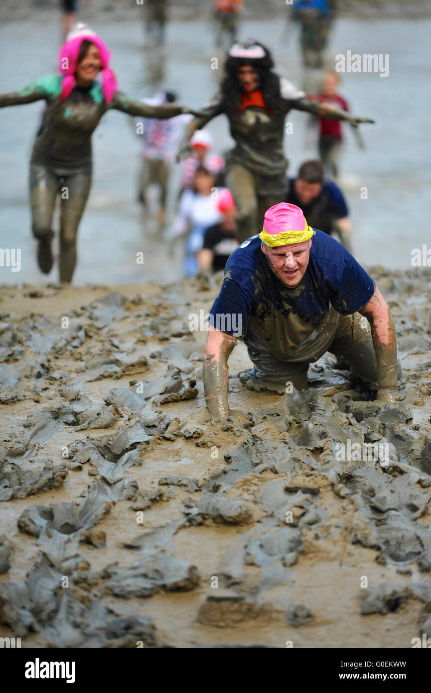 Maldon, Essex, UK. 1st May, 2016. A competitor making their way through ...