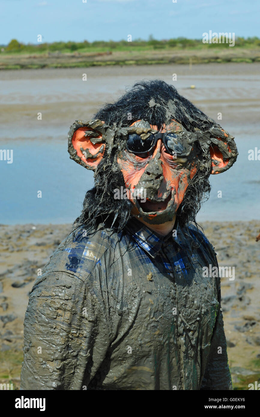 Maldon, Essex, UK. 1st May, 2016. A participant in a monkey suit at the ...