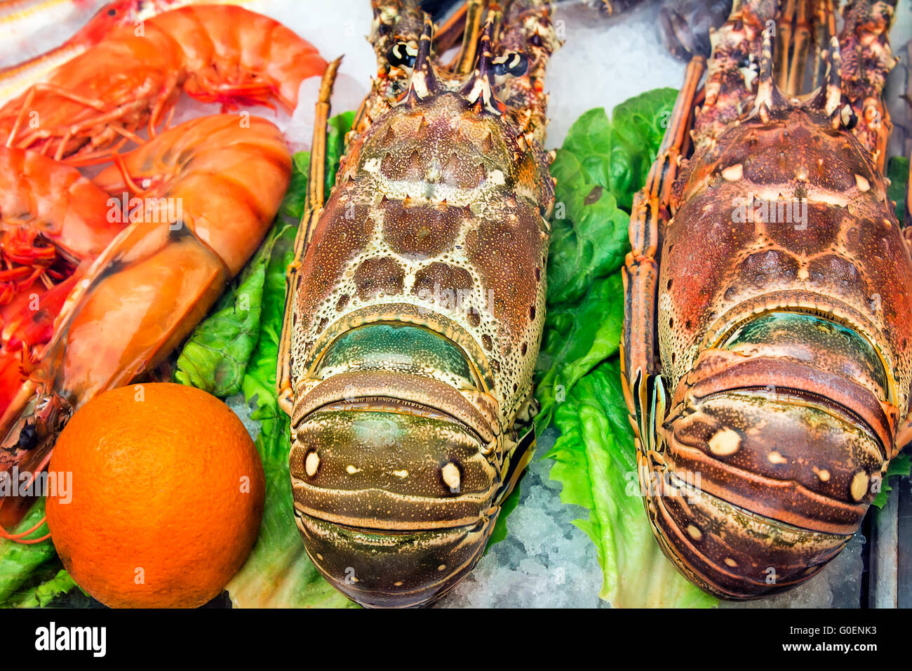 Marine crustaceans hi-res stock photography and images - Alamy